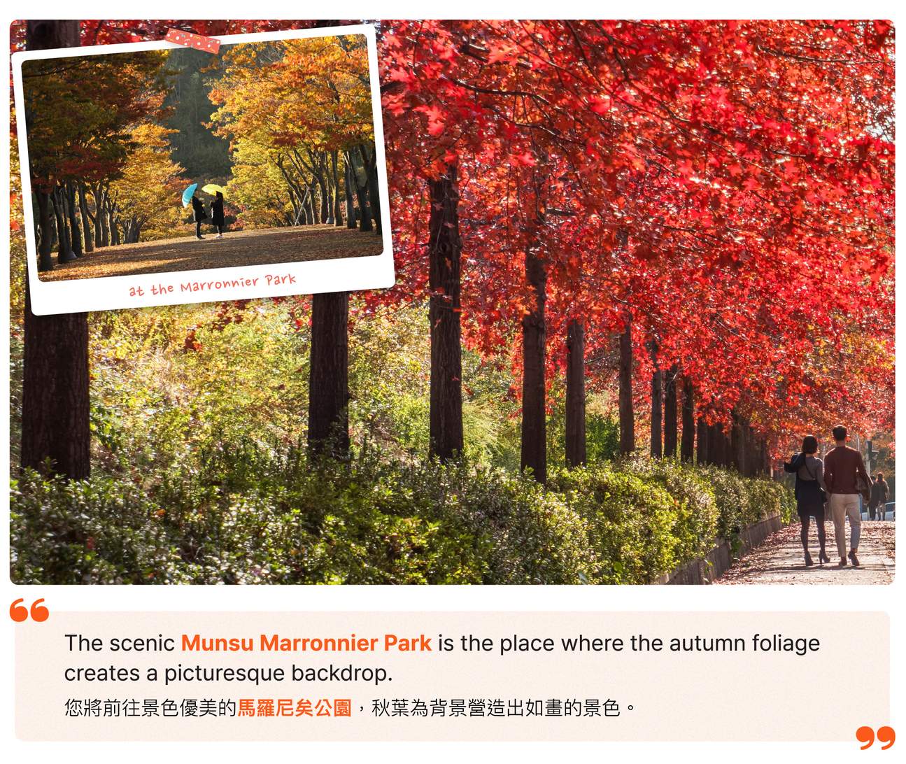 Memorable Autumn Foliage Day Tour from Busan - Klook Singapore
